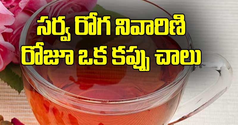 Rose Flowers Tea : ఇది సర్వ రోగ నివారిణి.. ఉద‌యాన్నే ఒక క‌ప్పు తాగితే ...